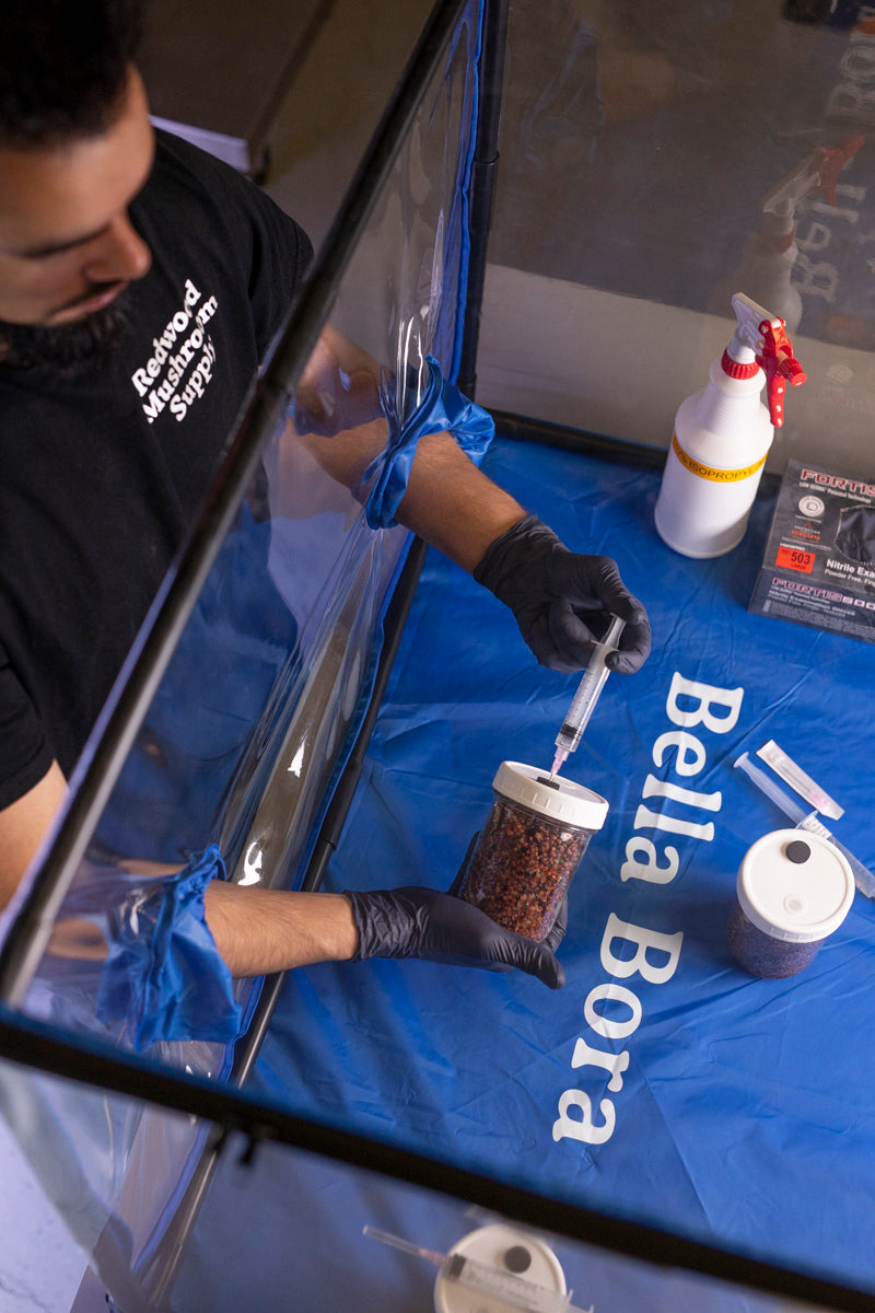 Redwood Mushroom Supply | Let's Grow Mushrooms