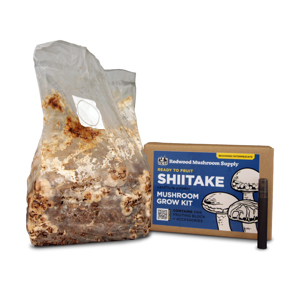 Shiitake Mushroom Grow Kit | Redwood Mushroom Supply