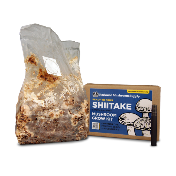 Shiitake Mushroom Grow Kit | Redwood Mushroom Supply
