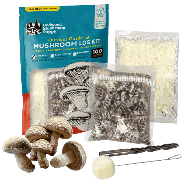 Shiitake Mushroom Outdoor Log Starter Kit | Redwood Mushroom Supply